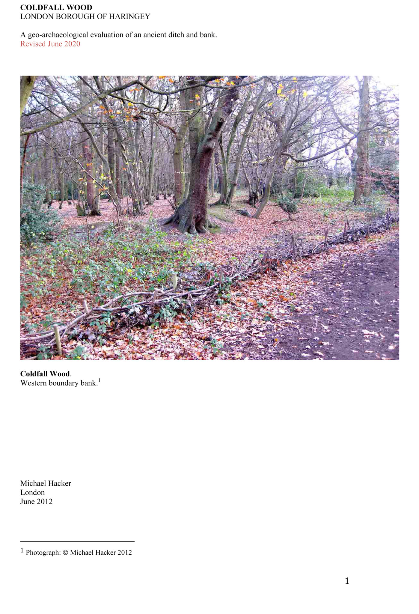 Coldfall Wood - HADAS