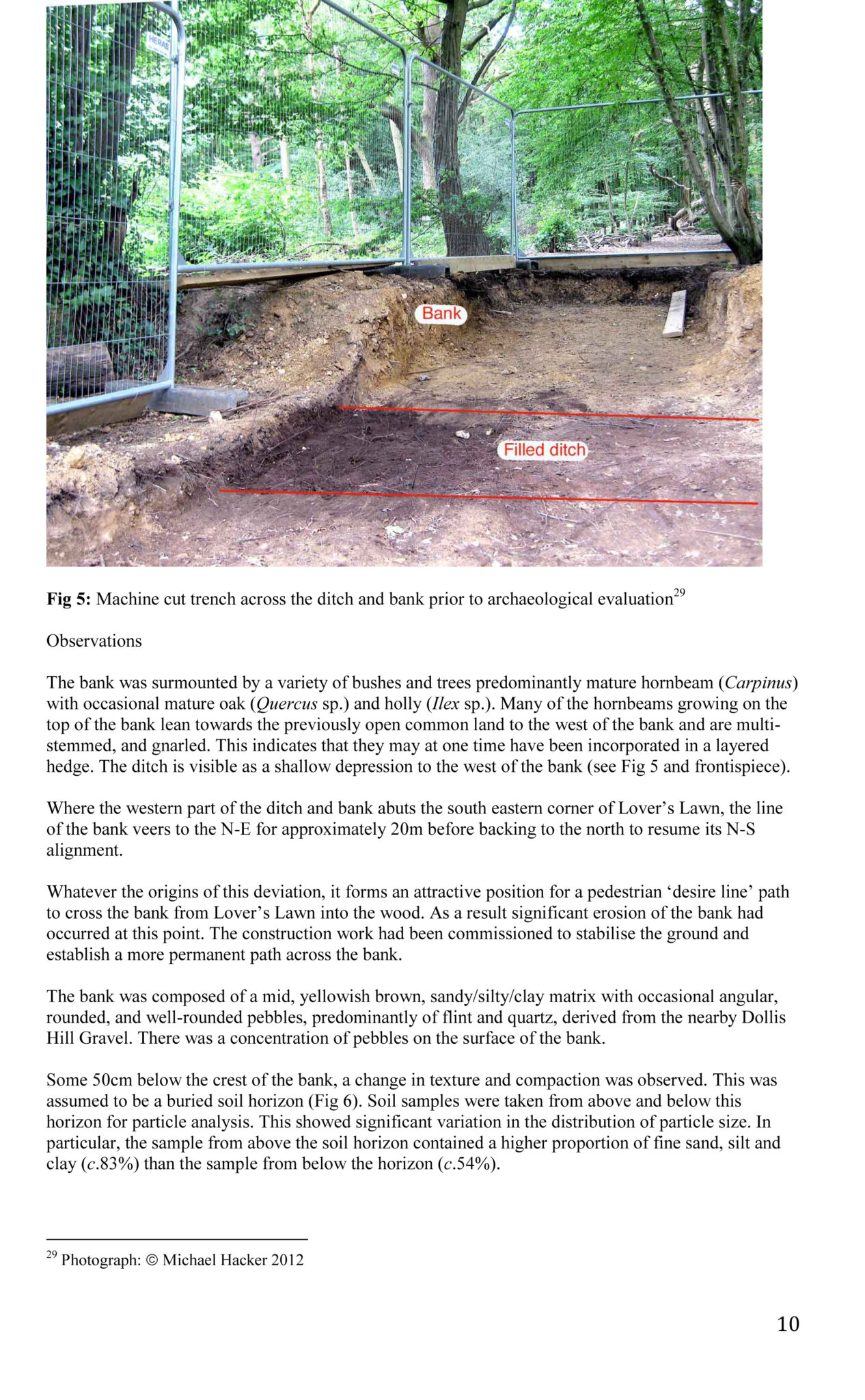 Coldfall Wood - HADAS